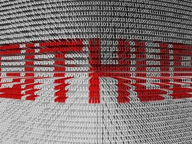 An Intro to GitHub For Beginners