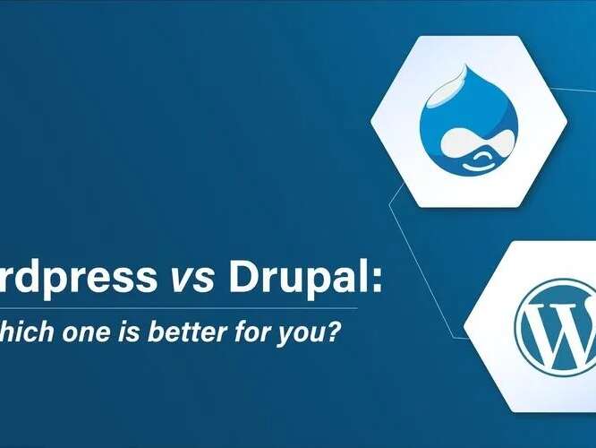 WordPress vs. Drupal: Which One is Better for You?