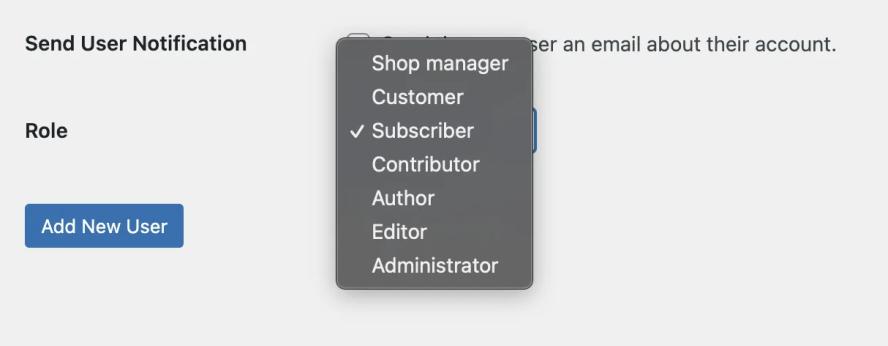WordPress User Roles Explained