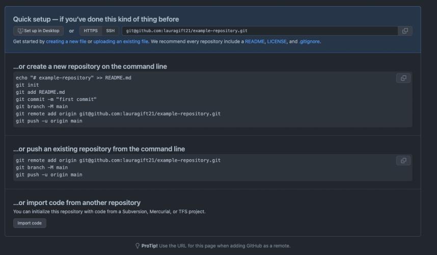 An Intro to GitHub For Beginners